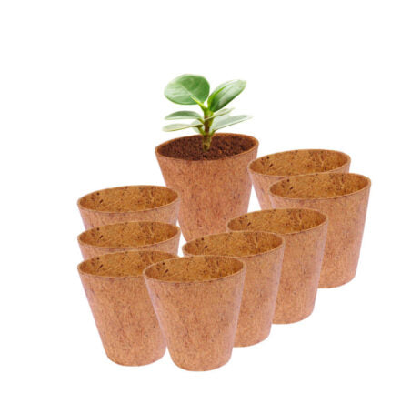 Buy 3 Inch Coir Round Planter Pots – Coir Garden